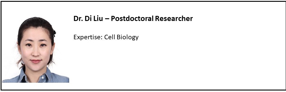 The Research Team | College of Medicine