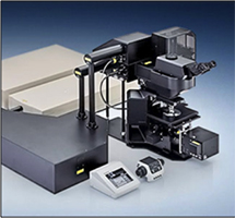 Research | College of Medicine